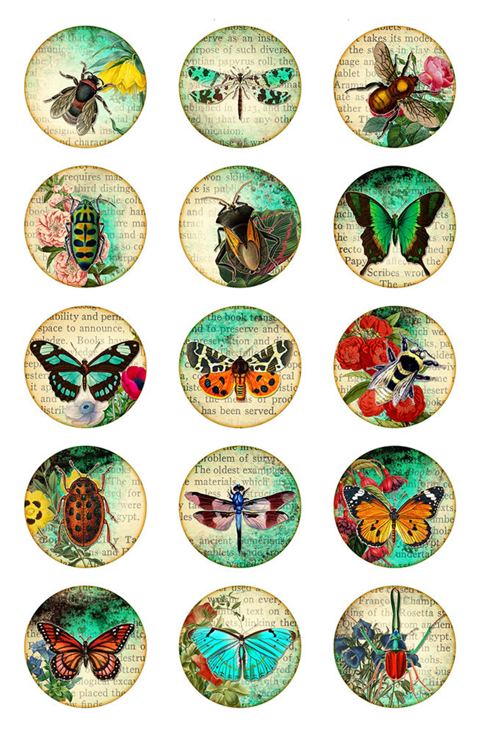 Decorative Insect Circles Ceramic Decals Enamel Decal - Etsy
