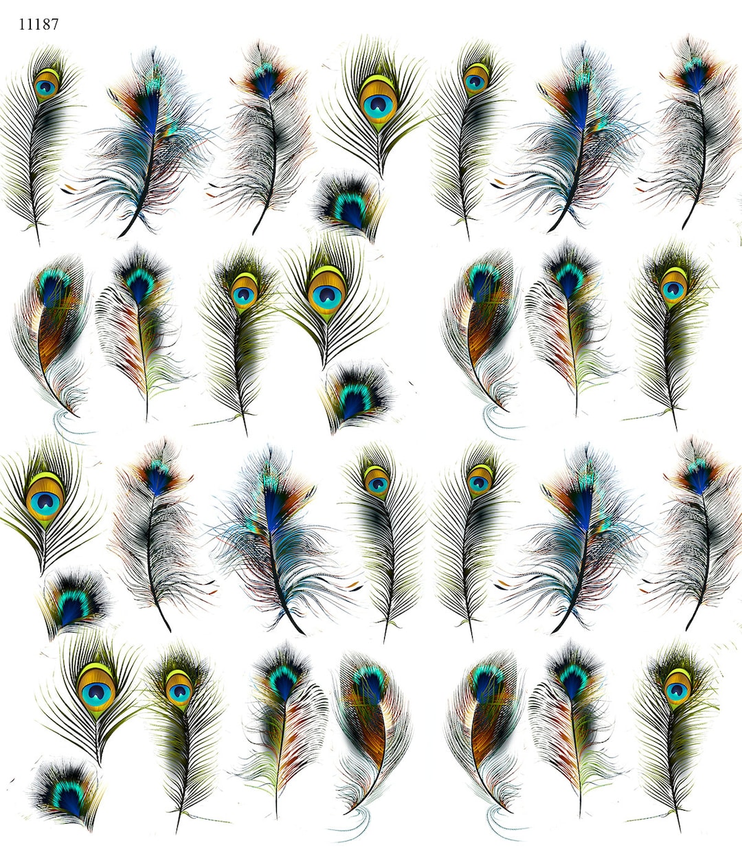 Peacock Feathers - Ceramic Decals- Enamel Decal - Glass Decal- 11187 - Etsy