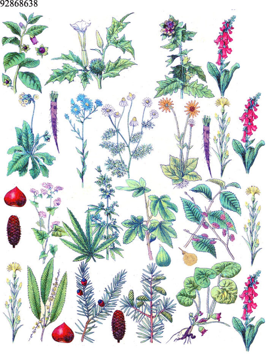 Wildflowers - Ceramic Decals- Enamel Decal - Glass Decal- 92868 - Etsy