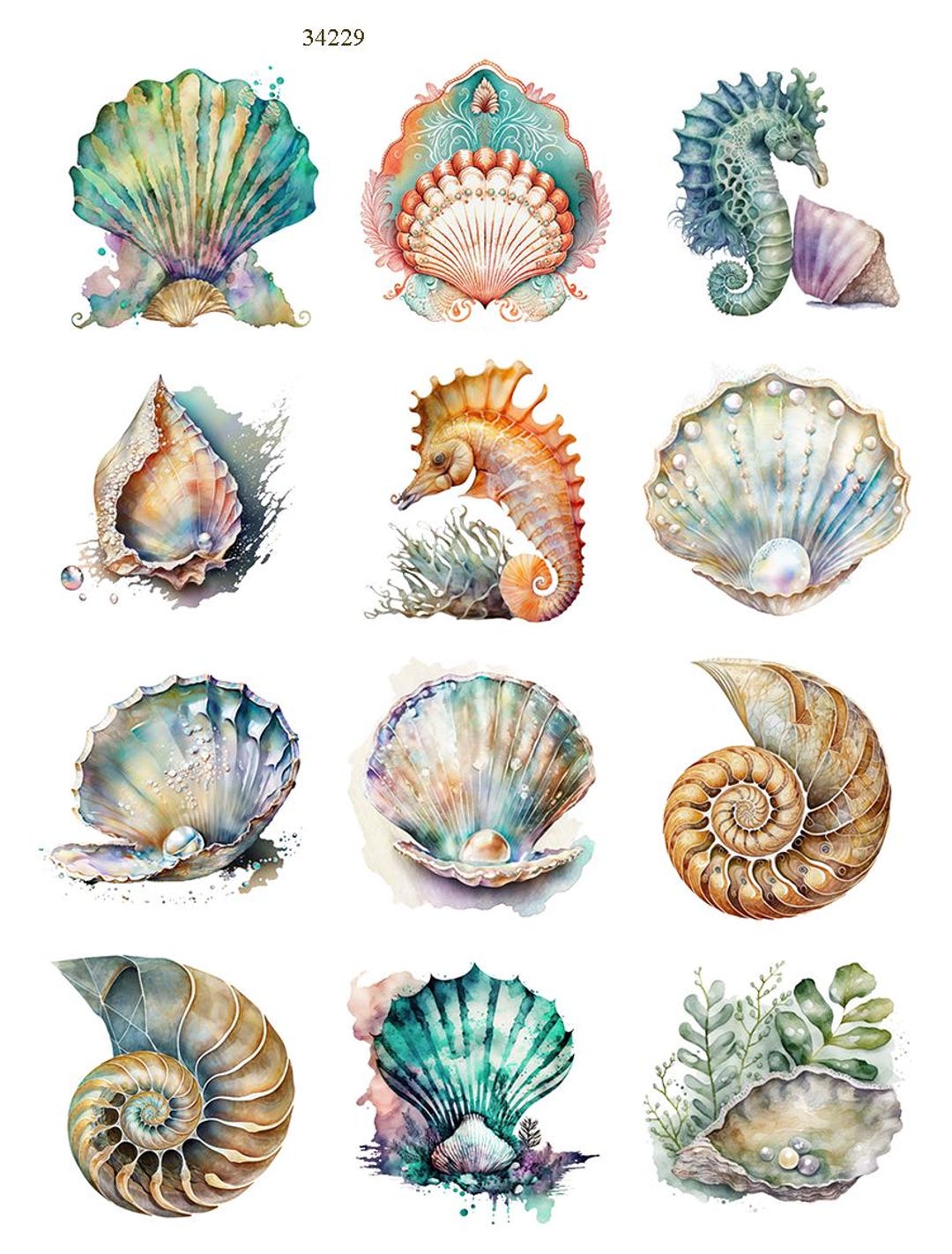 Watercolor Sea Shells - Ceramic Decals - Glass Decal- 34229 - Etsy