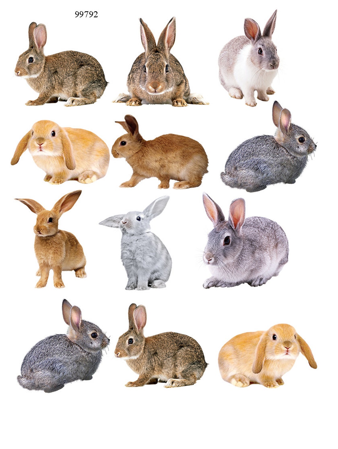 Too Cute Bunny Rabbits ~ Ceramic Decal - Glass Decal ~LEAD FREE & Food ...