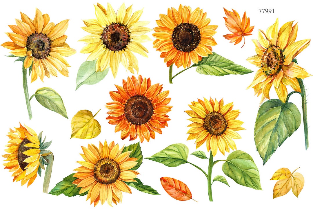 Glorious Sunflowers - Ceramic Decals- Enamel Decal - Glass Decal- 77991 ...