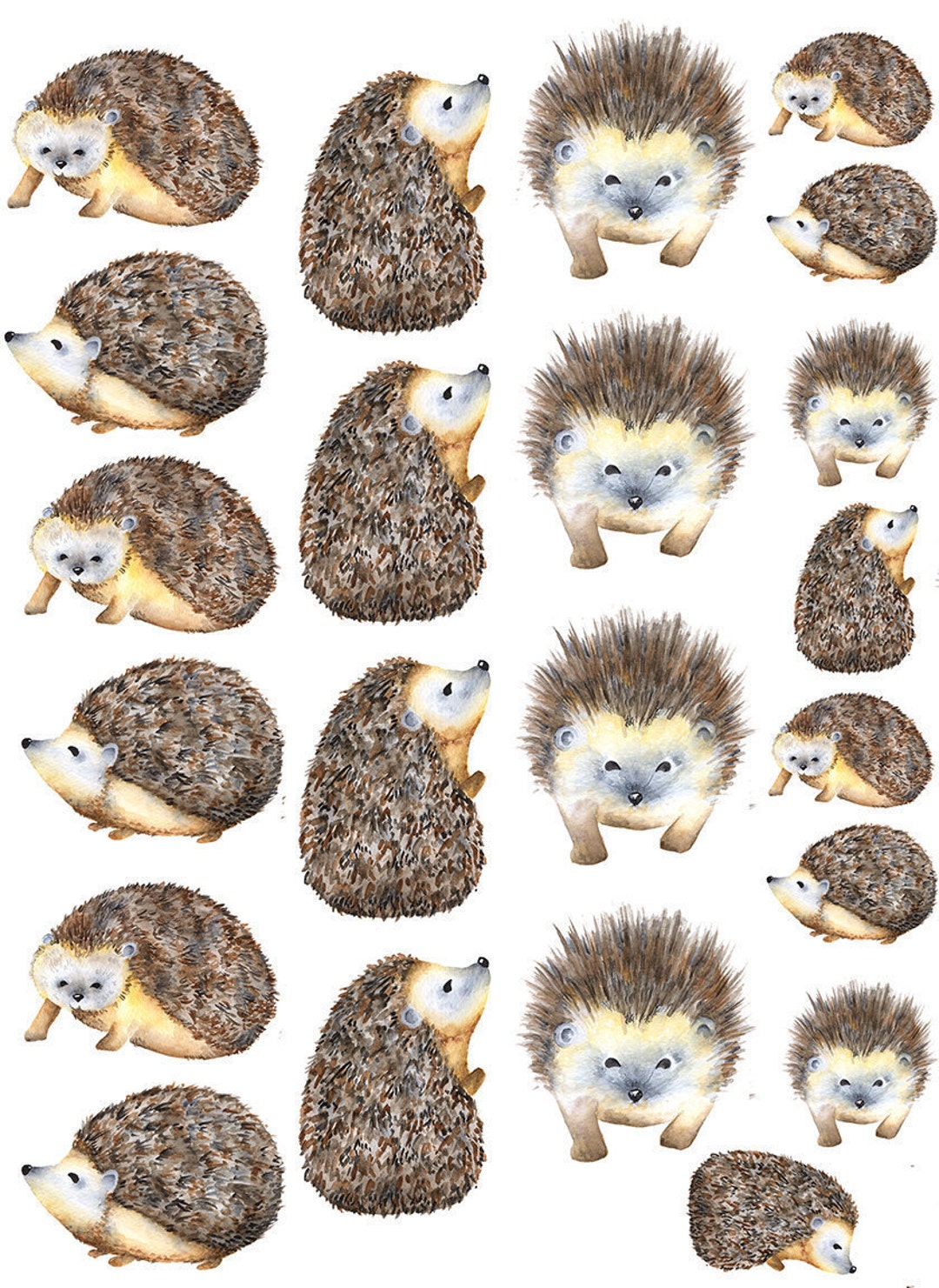 Watercolor Hedgehog Animals - Ceramic Decals- Enamel Decal - Glass ...