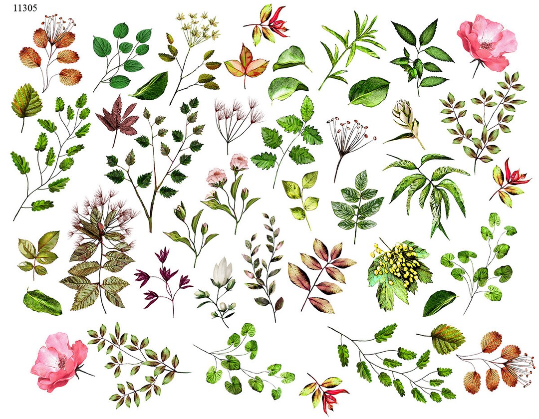 Seamless Botanical Bits - Ceramic Decals- Enamel Decal - Fusible Decal ...