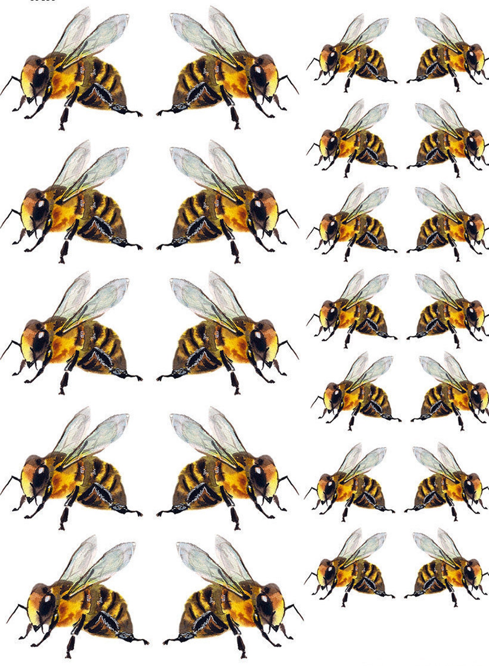 Just Big Fat Bees Ceramic Decals Enamel Decal Fusible - Etsy