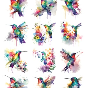 Colorful Hummingbirds - Ceramic Decals- Enamel Decal - Fusible Decal ...