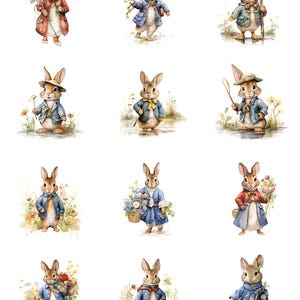 Peter Rabbit - Bunny - Easter - Ceramic Decals- Enamel Decal - Glass ...