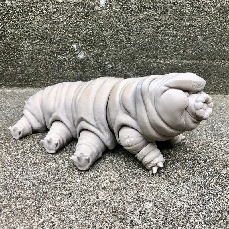3d Printed Tardigrade - Etsy