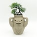 Goron Vase - 3D Printed Mini Succulent Planter Pot Vase - Etsy