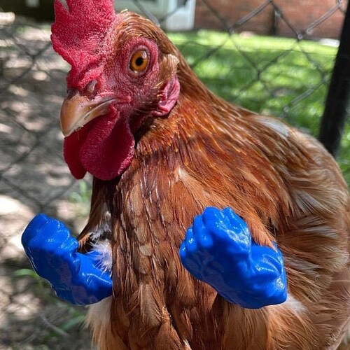 3D Printed Chicken Arms Incredible Hulk Muscled Arms Various - Etsy