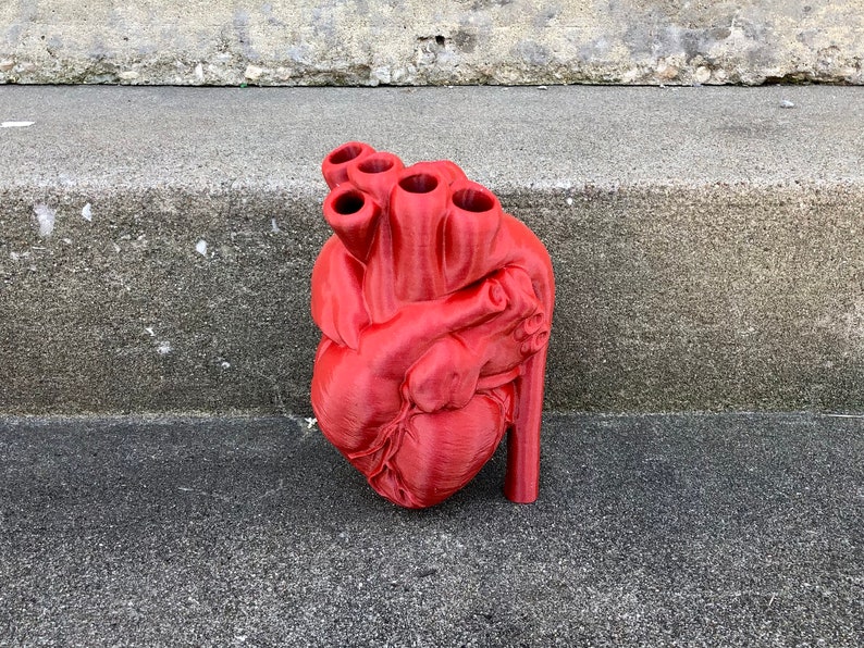 Realistic Heart Vase - 3D Printed Anatomically Correct Heart Vase - Etsy