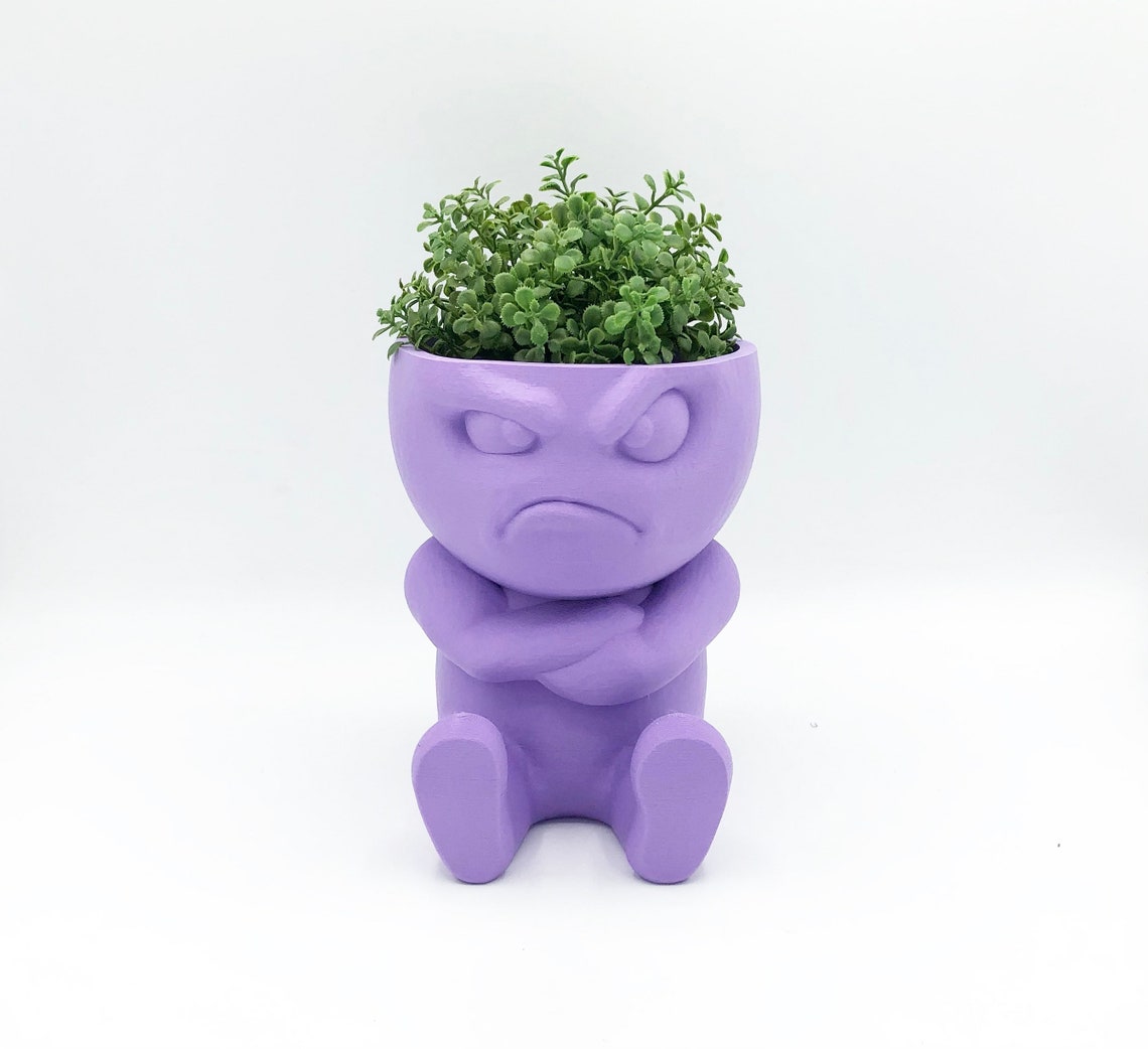 Grumpy Planter 3D Printed Succulent Planter Pot Vase Various - Etsy