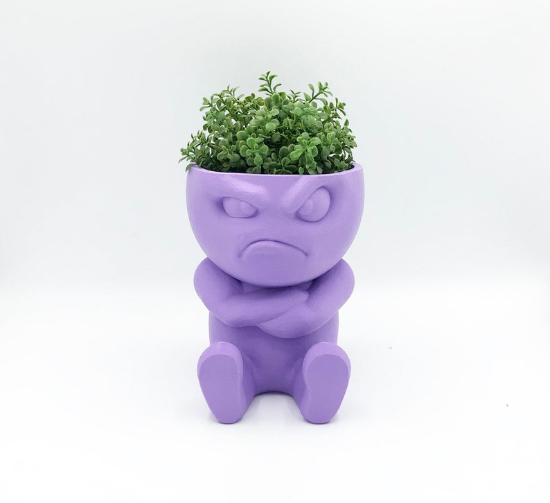 Grumpy Planter 3D Printed Succulent Planter Pot Vase Various - Etsy