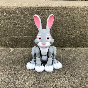 Flexi Bunny Rabbit 3D Printed Articulated Fidget Toy - Full Color ...