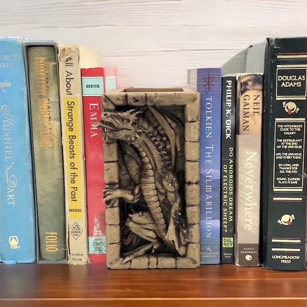 Bookshelf Insert - Etsy