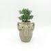 Goron Vase - 3D Printed Mini Succulent Planter Pot Vase - Etsy
