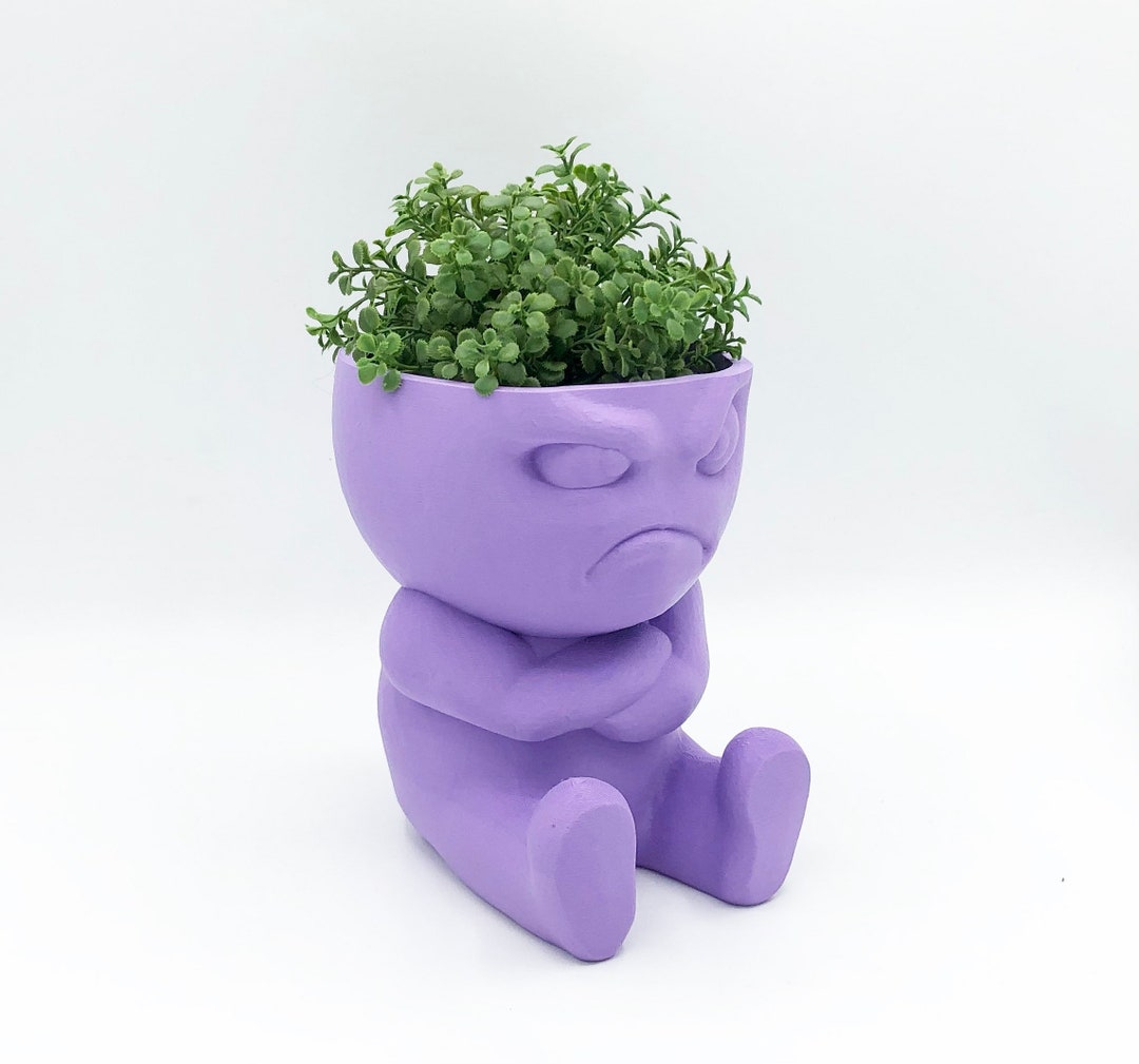 Grumpy Planter 3D Printed Succulent Planter Pot Vase - Various Colors ...