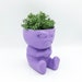 Grumpy Planter 3D Printed Succulent Planter Pot Vase Various - Etsy