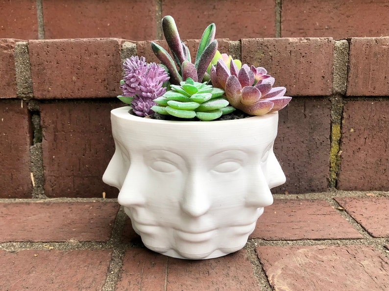 3D Printed Polyface Planter Bowl - Etsy