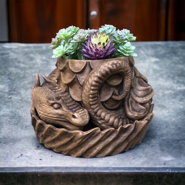 3d Pot Dragon - Etsy