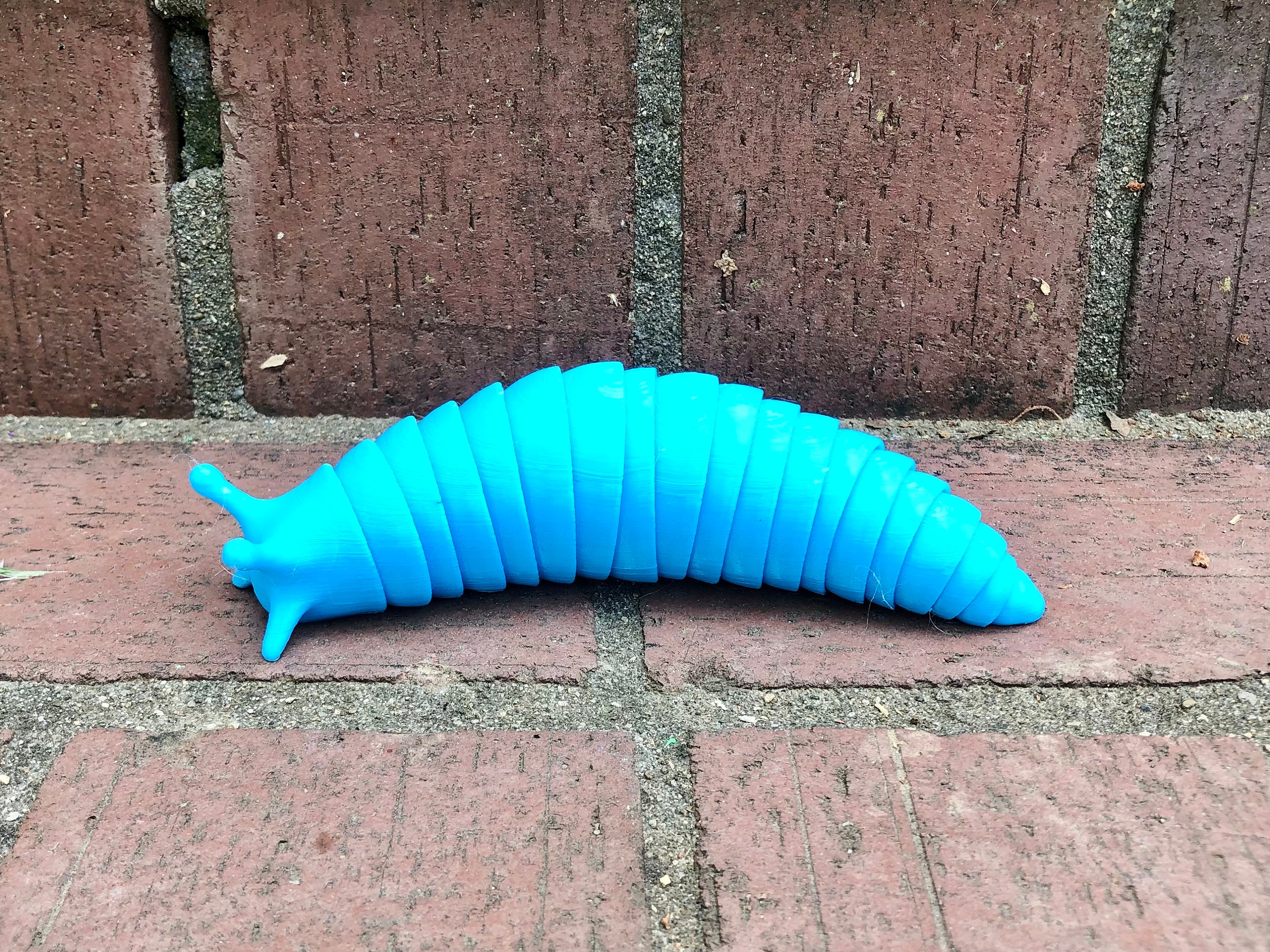 3D Printed Articulated Fidget Slug Toy Various Colors | Etsy