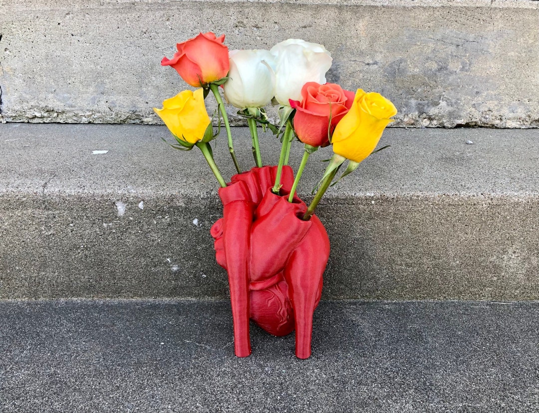 Realistic Heart Vase - 3D Printed Anatomically Correct Heart Vase - Etsy