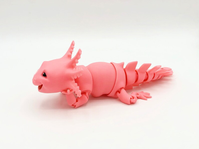 Flexi Axolotl 3D Printed Articulated Fidget Toy - Full Color - Etsy