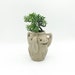 Goron Vase - 3D Printed Mini Succulent Planter Pot Vase - Etsy