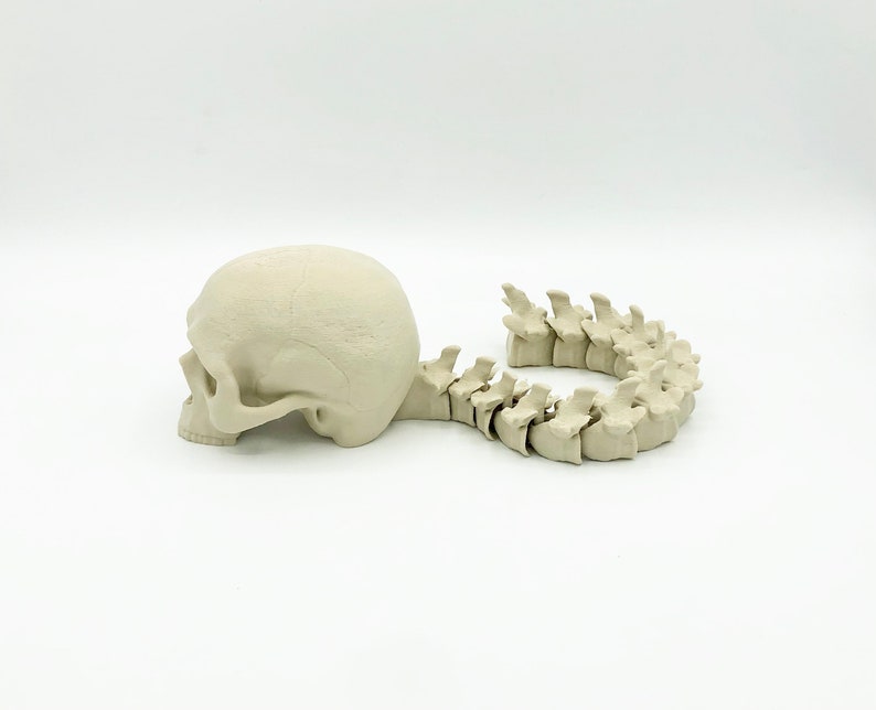 3D Printed Articulated Flexi Skull Predator Trophy Fidget Toy - Various ...