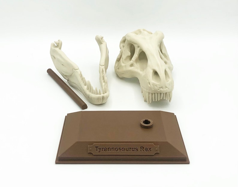 3D Printed Replica T-rex Dinosaur Skull Desk Display Sculpture ...