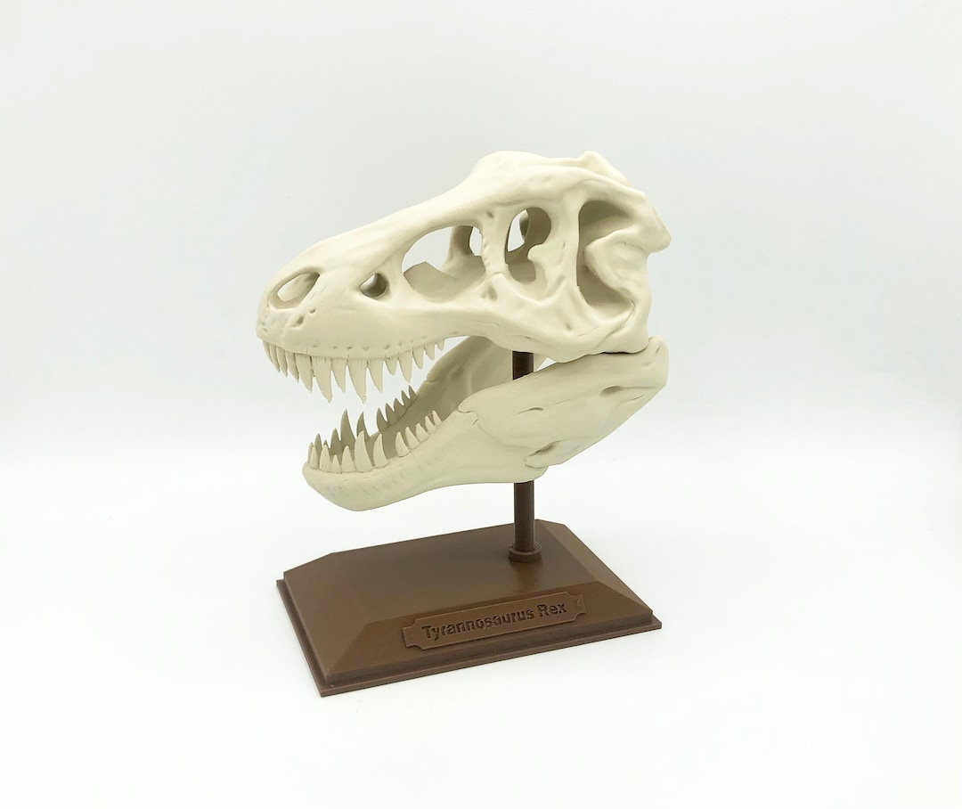3D Printed Replica T-rex Dinosaur Skull Desk Display Sculpture ...