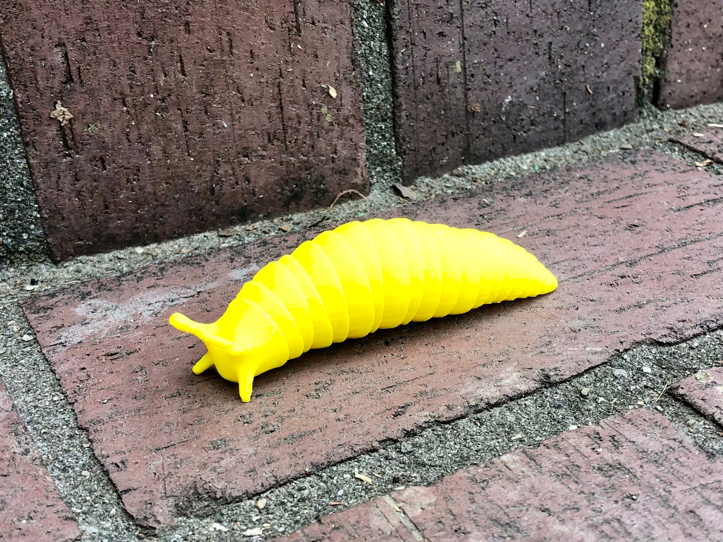 3D Printed Articulated Fidget Slug Toy Various Colors | Etsy