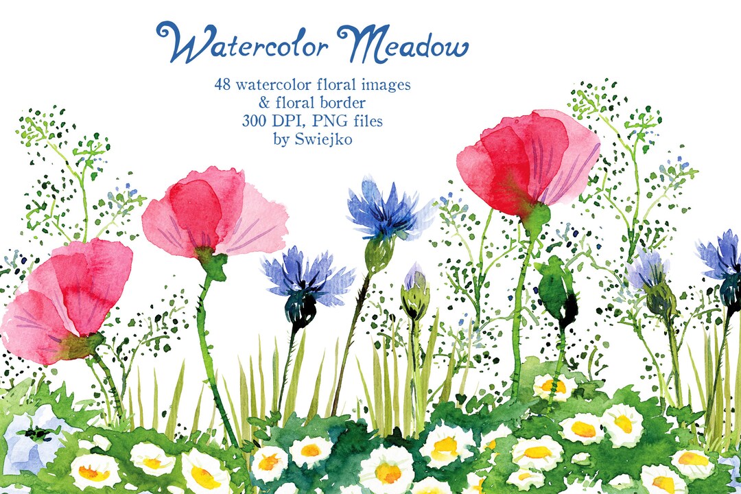 Hand Painted Watercolor Meadow, Poppies, Cornflowers, Camomile, Flowers ...