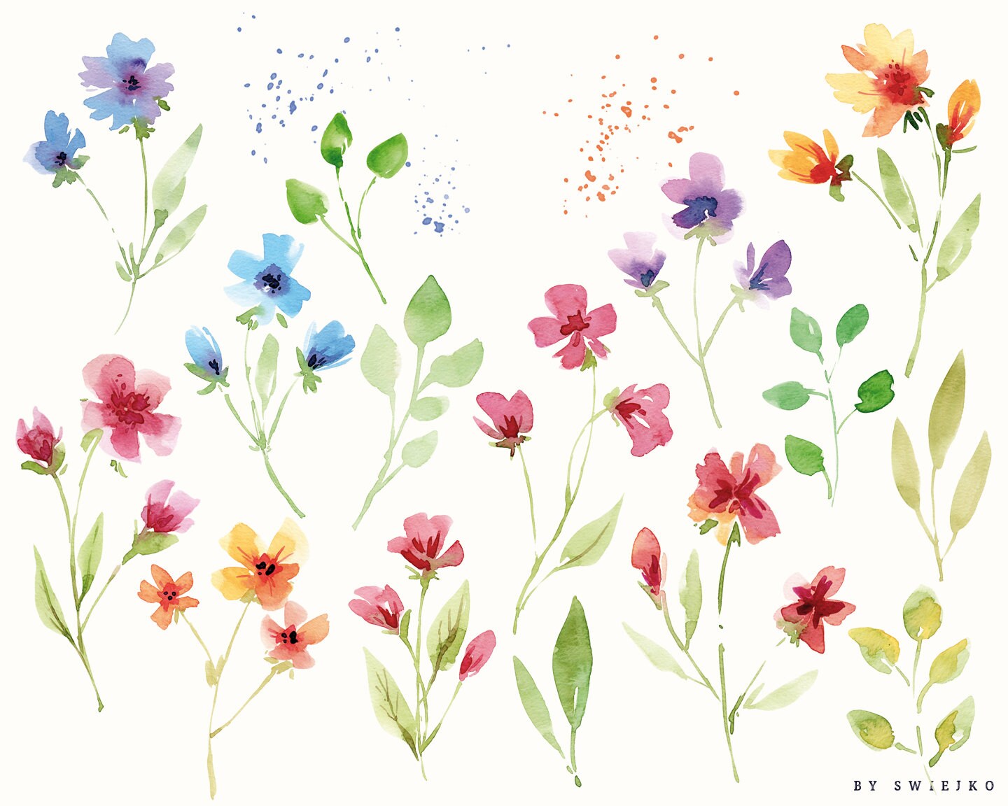 Watercolor Meadow Flower Clip Art, Hand Painted (digital Clip Art) - Etsy