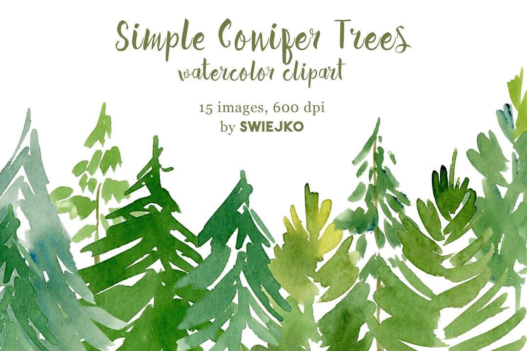 Conifer Trees, Simple Watercolor Clipart, Christmas, Holiday, Winter ...