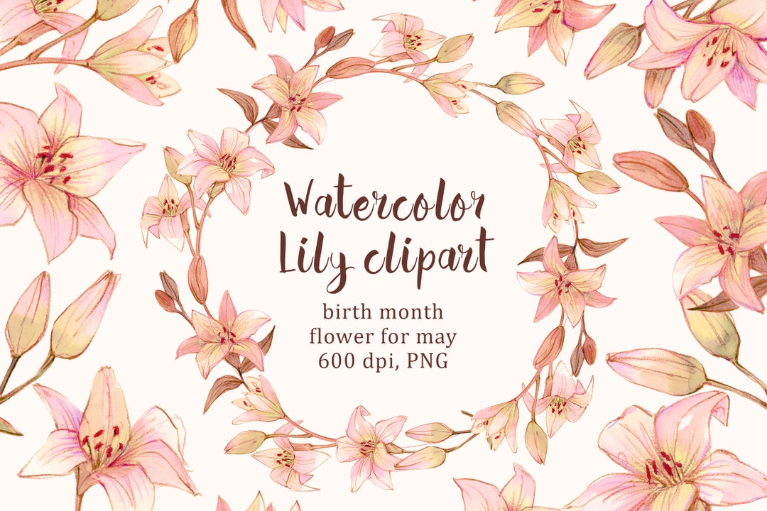 Lily Clipart, Birth Month Flowers, May Birthday, Watercolor Clipart ...