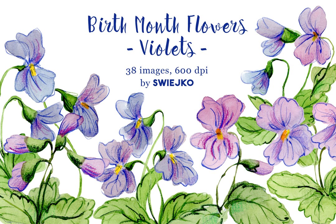 Violets Clipart, Birth Month Flowers, February Flower, Watercolor, Hand ...