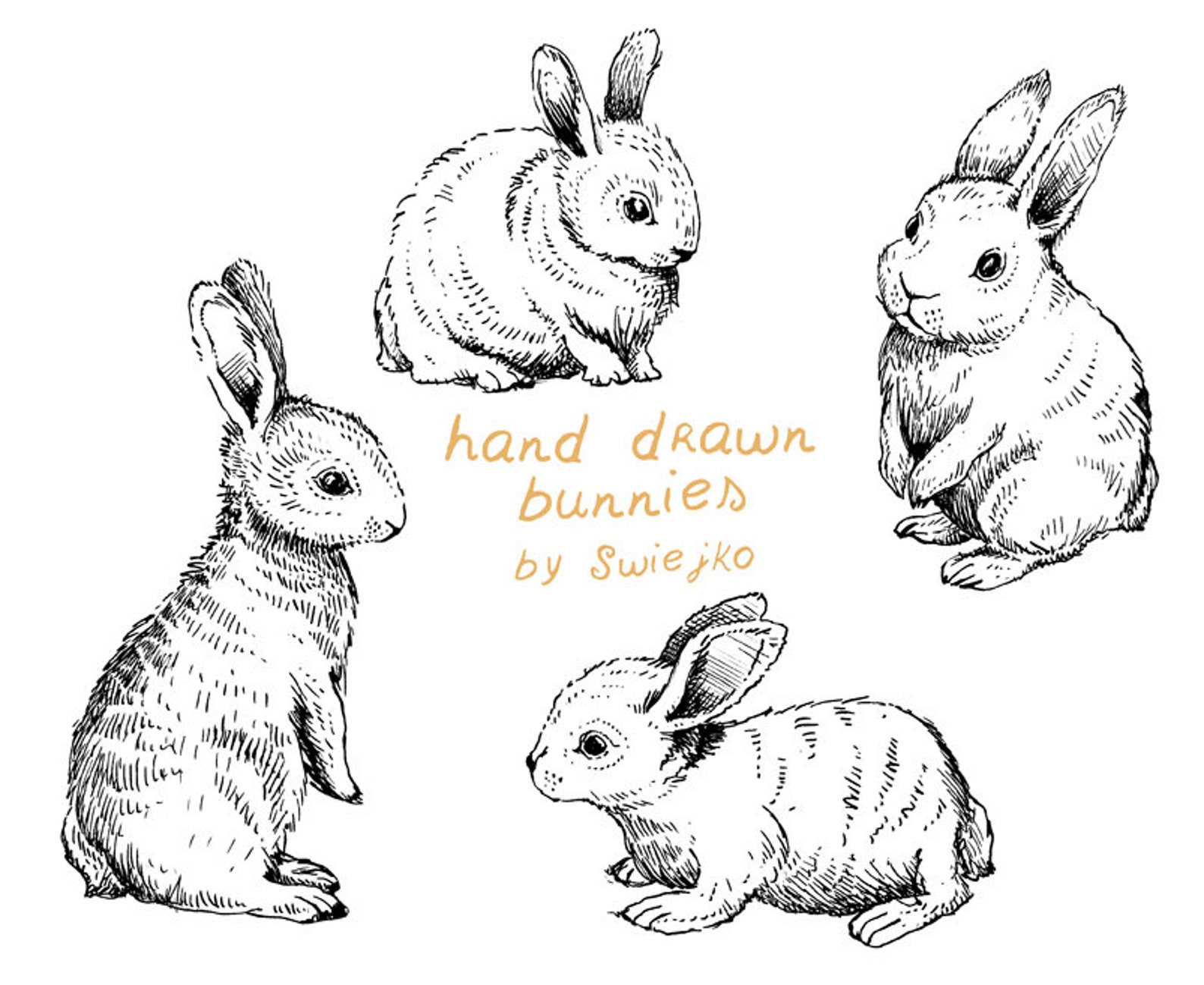 Digital Clipart Doodle Clipart Easter Bunnies Bunny Clipart - Etsy