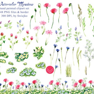 Hand Painted Watercolor Meadow, Poppies, Cornflowers, Camomile, Flowers ...