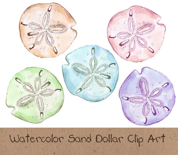 Blue Sand Dollar Clip Art
