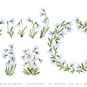Snowdrop Clipart, Birth Month Flowers, January Flower, Watercolor ...