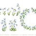 Snowdrop Clipart, Birth Month Flowers, January Flower, Watercolor ...