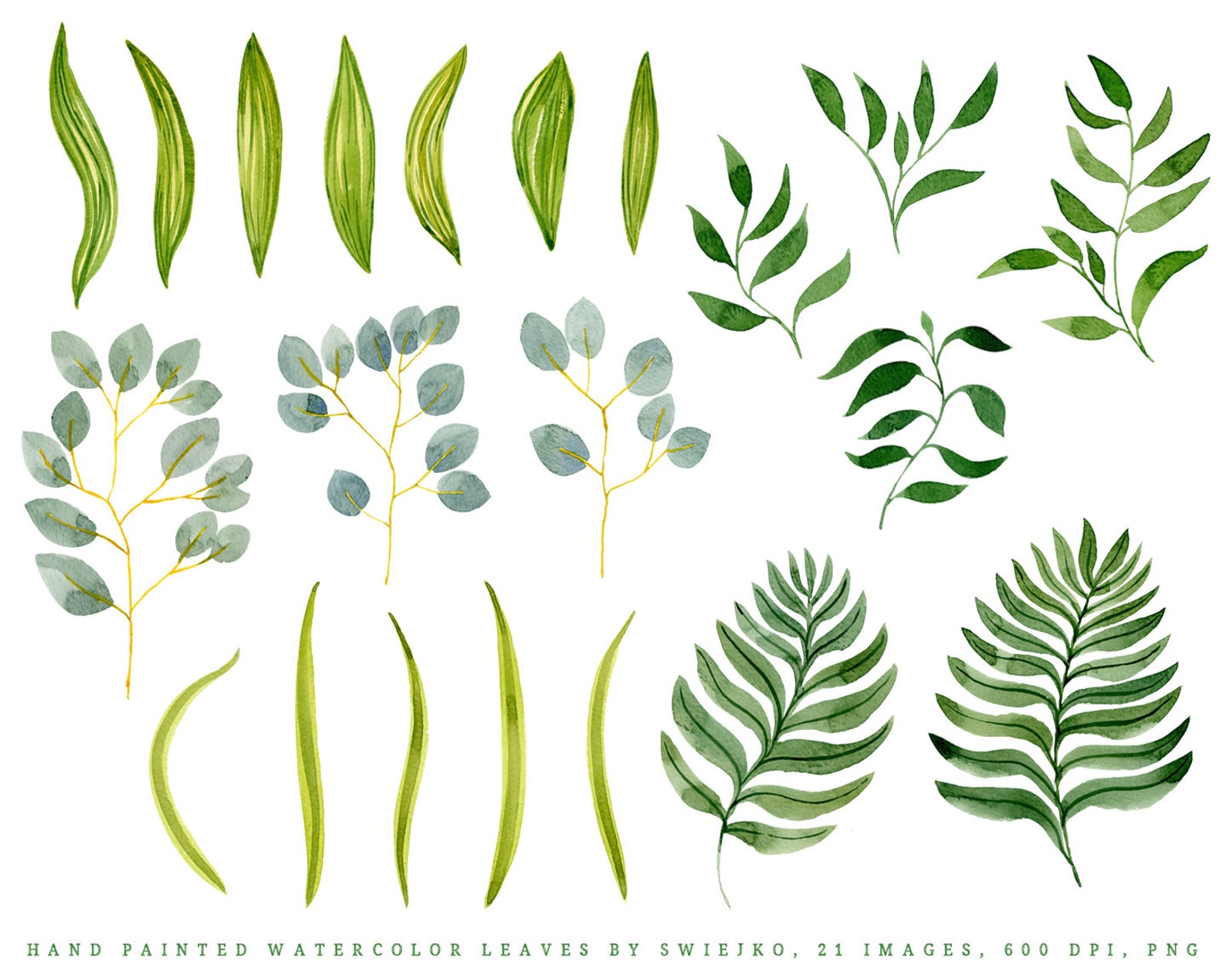 Digital Clipart, Watercolor Leaves, Hand Painted Foliage, Tropical ...