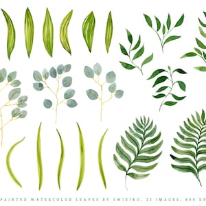 Digital Clipart, Watercolor Leaves, Hand Painted Foliage, Tropical ...