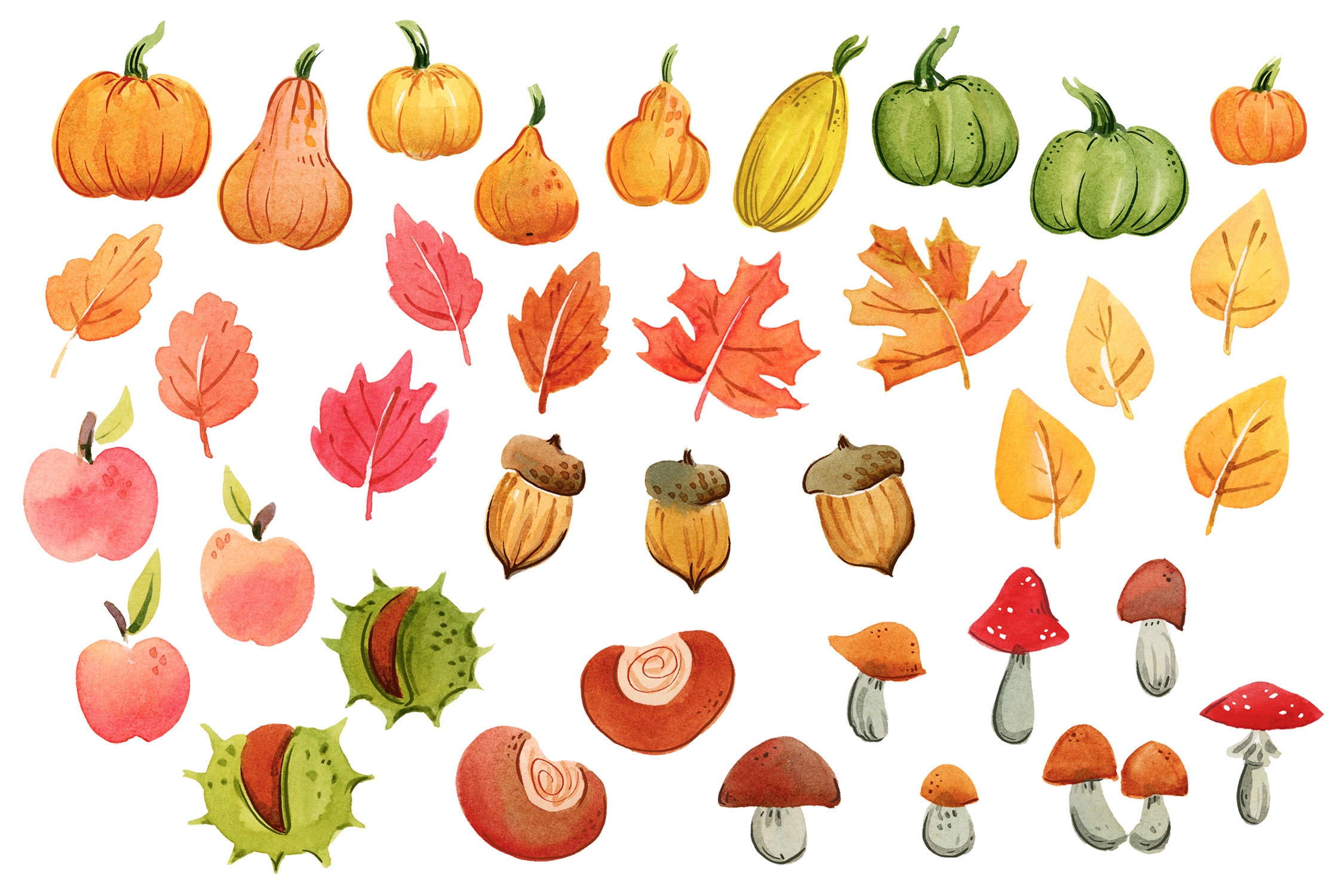 Watercolor Alphabet Numbers Autumn Illustrations Hand - Etsy