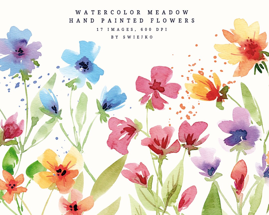 Watercolor Meadow Flower Clip Art, Hand Painted (digital Clip Art) - Etsy