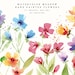 Meadow Flowers, Floral Clip Art, Country Flowers, Hand Painted ...