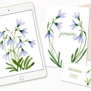 Snowdrop Clipart, Birth Month Flowers, January Flower, Watercolor ...