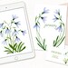 Snowdrop Clipart, Birth Month Flowers, January Flower, Watercolor ...