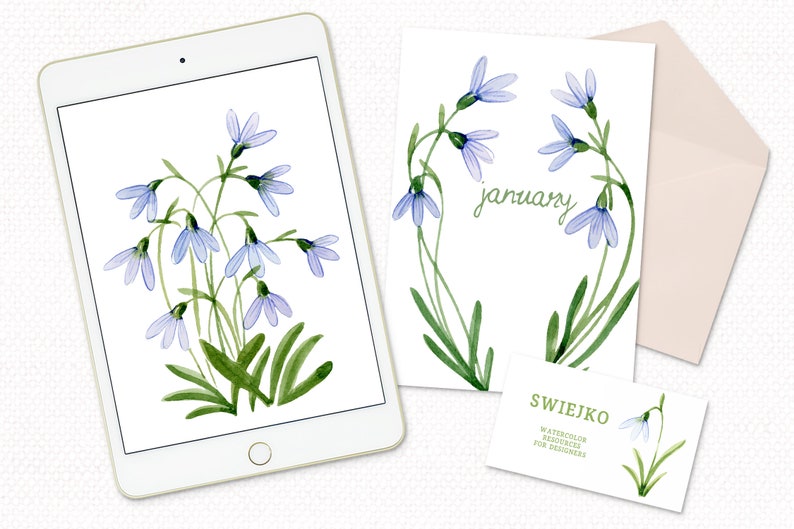 Snowdrop Clipart Birth Month Flowers January Flower - Etsy
